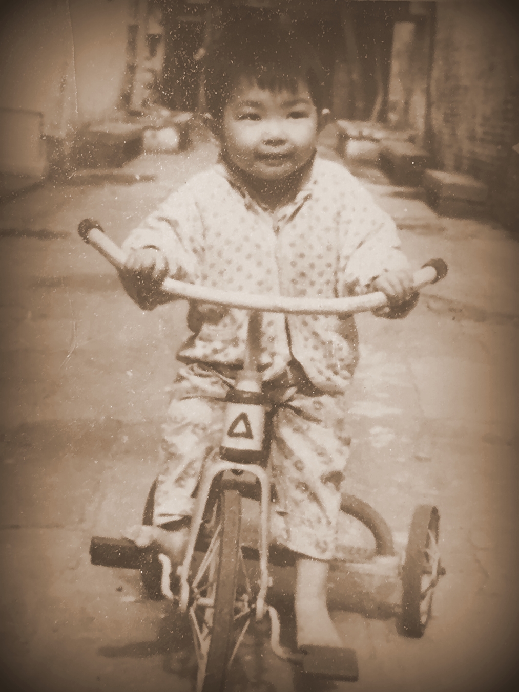 Cantonese steamed fish with shallot and ginger, memories of the ‘Yayan ...