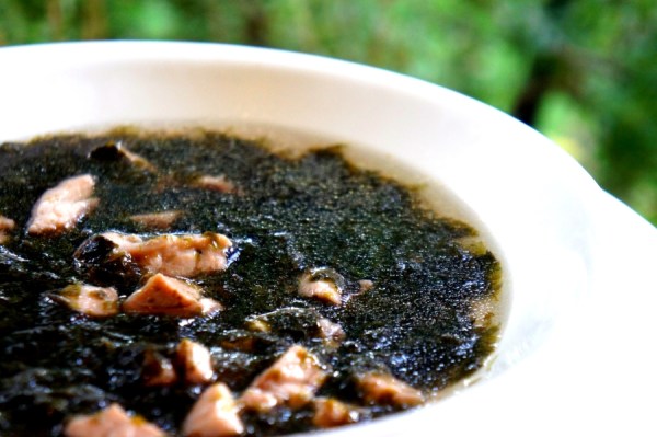Chicken and seaweed soup (FODMAP friendly) – delish Home Cook ...